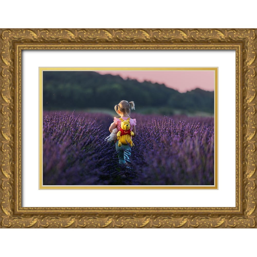 Stepanov, Dmitry 14x11 Gold Ornate Wood Framed with Double Matting Museum Art Print Titled ...