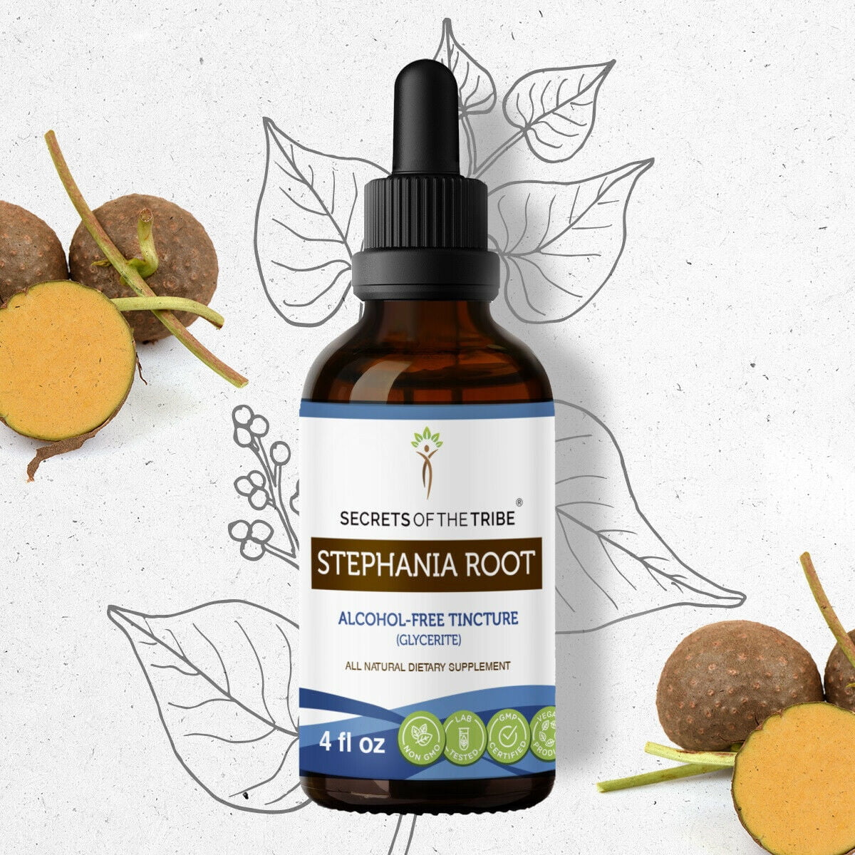 Stephania Root Tincture Alcohol-FREE Extract, Radix Stephaniae Overall ...