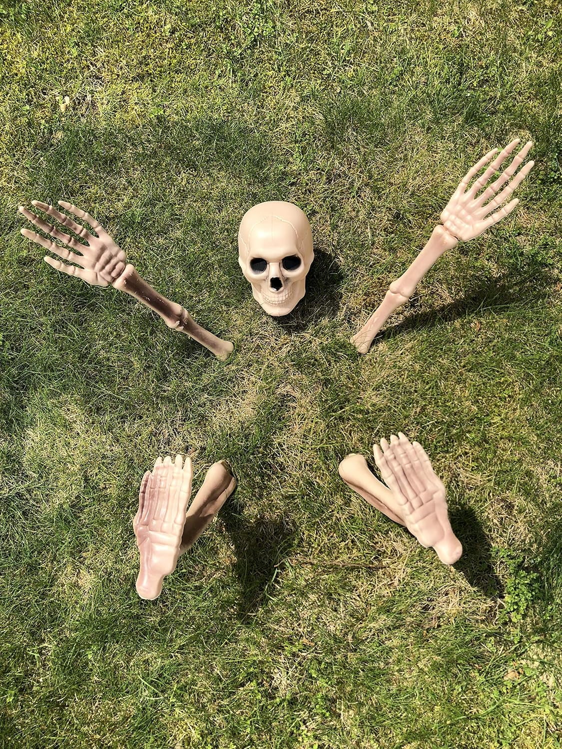 Stephanie Imports Skeleton Out of The Ground - Spooky Halloween ...