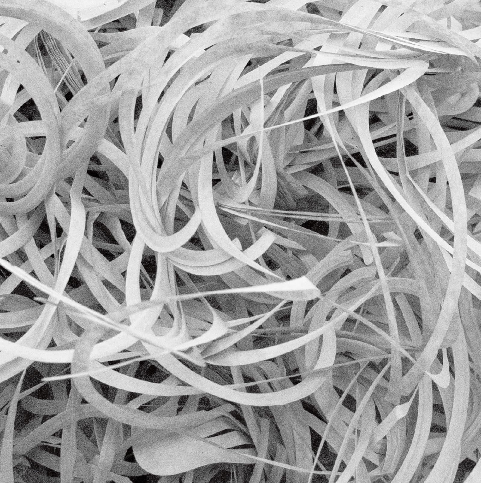 Stephanie Imports Spiro Pack Spiral-Shaped Recycled Paper Box Filler, 5 ...