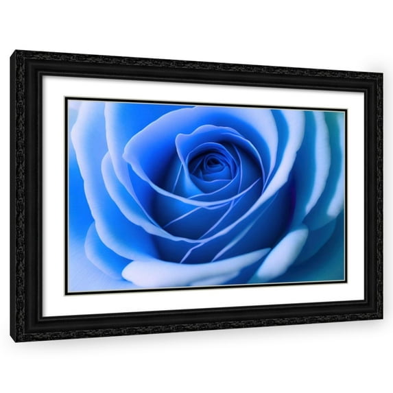 Stephen Chambers 14x11 Black Ornate Wood Framed With Double Matting ...