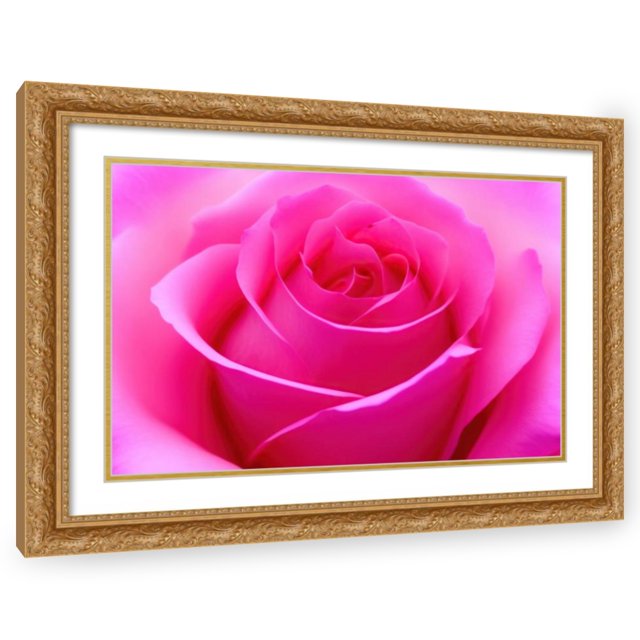 Stephen Chambers 14x11 Gold Ornate Wood Framed With Double Matting Wall ...