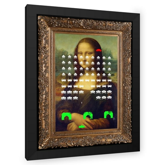 Stephen Chambers 15x18 Black Modern Wood Framed Wall Art Titled - Mona ...