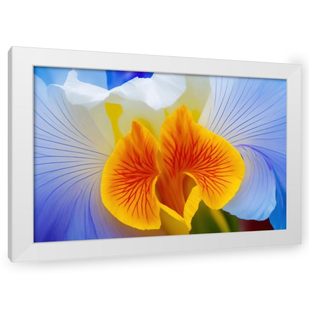 Stephen Chambers 24x17 White Modern Wood Framed Wall Art Titled ...