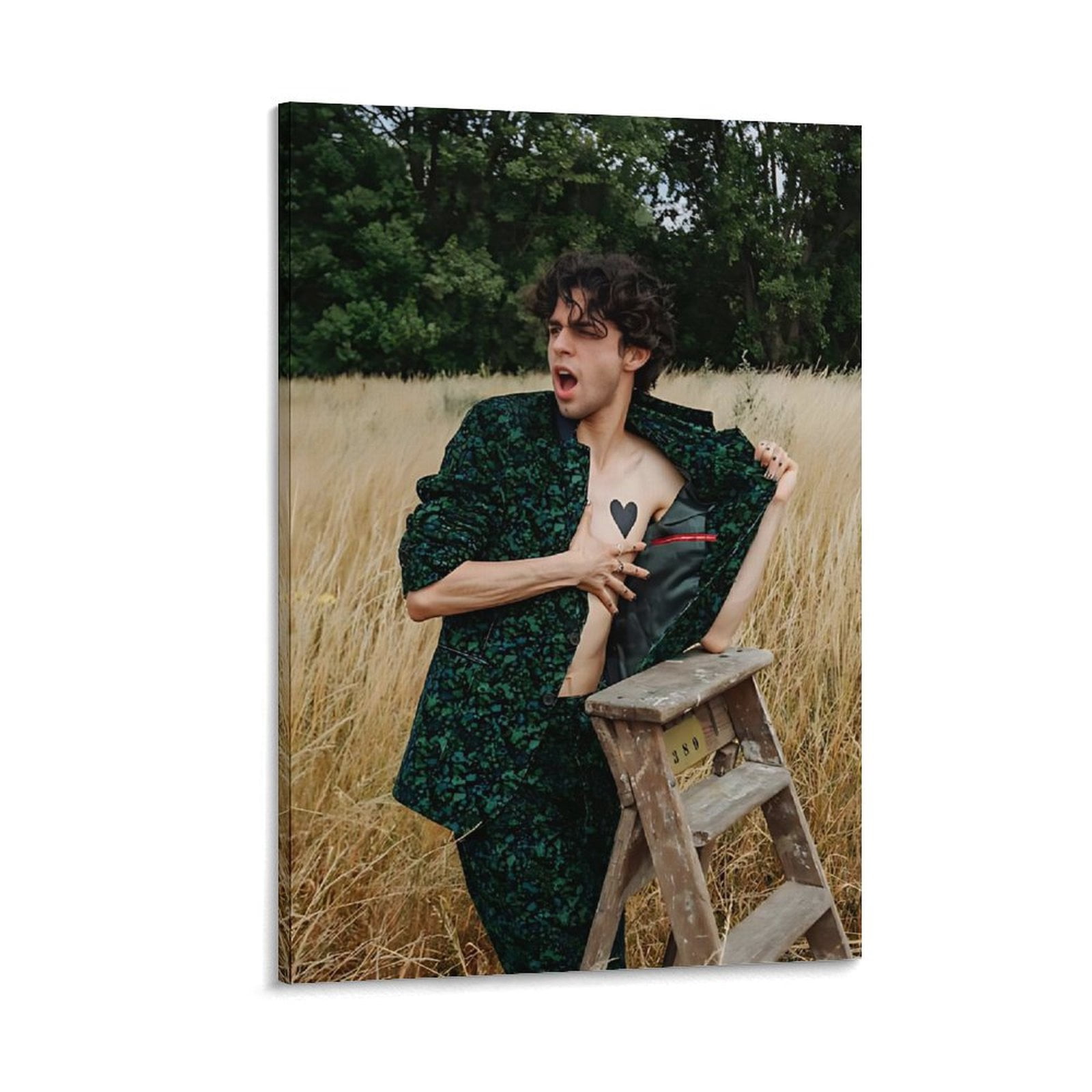 Stephen Sanchez Art Singer Cool Poster Print Photo Art Painting Canvas ...