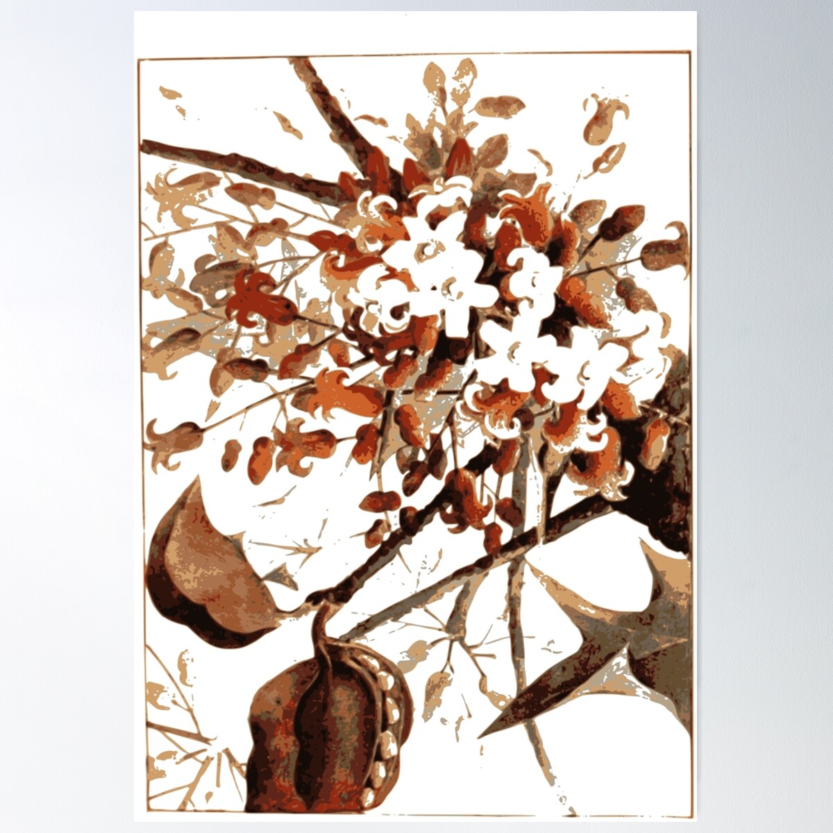 Sterculia Trichosiphon Deciduous Tree Poster Wall Art, Modern Wall ...