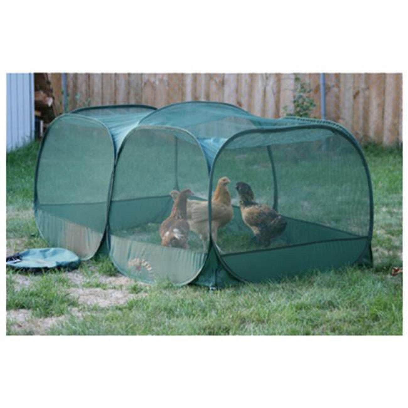 Sterilite 210179 Peck & Play Port Chicken Enclosure - Walmart.com