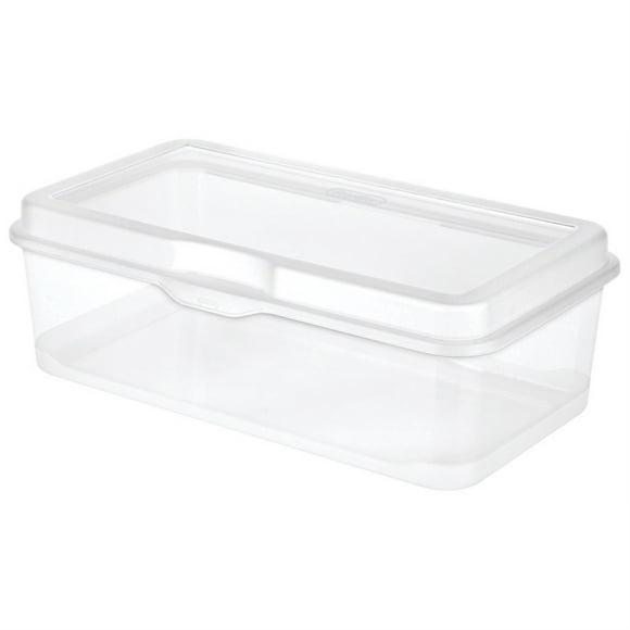 Sterilite Flip Top Containers