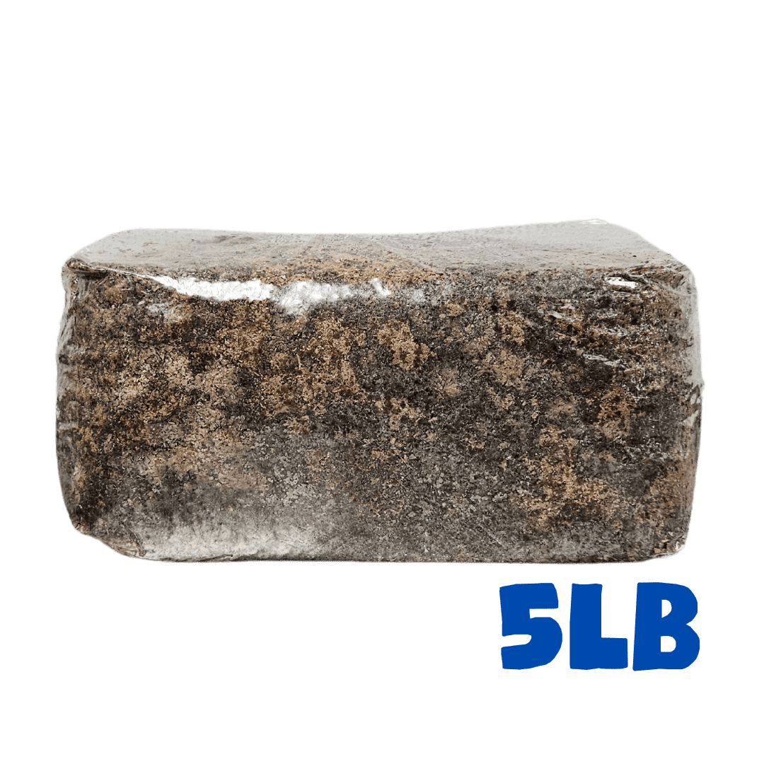 Sterilized Masters Mix Mushroom Substrate 5 Pound Bag - Walmart.com