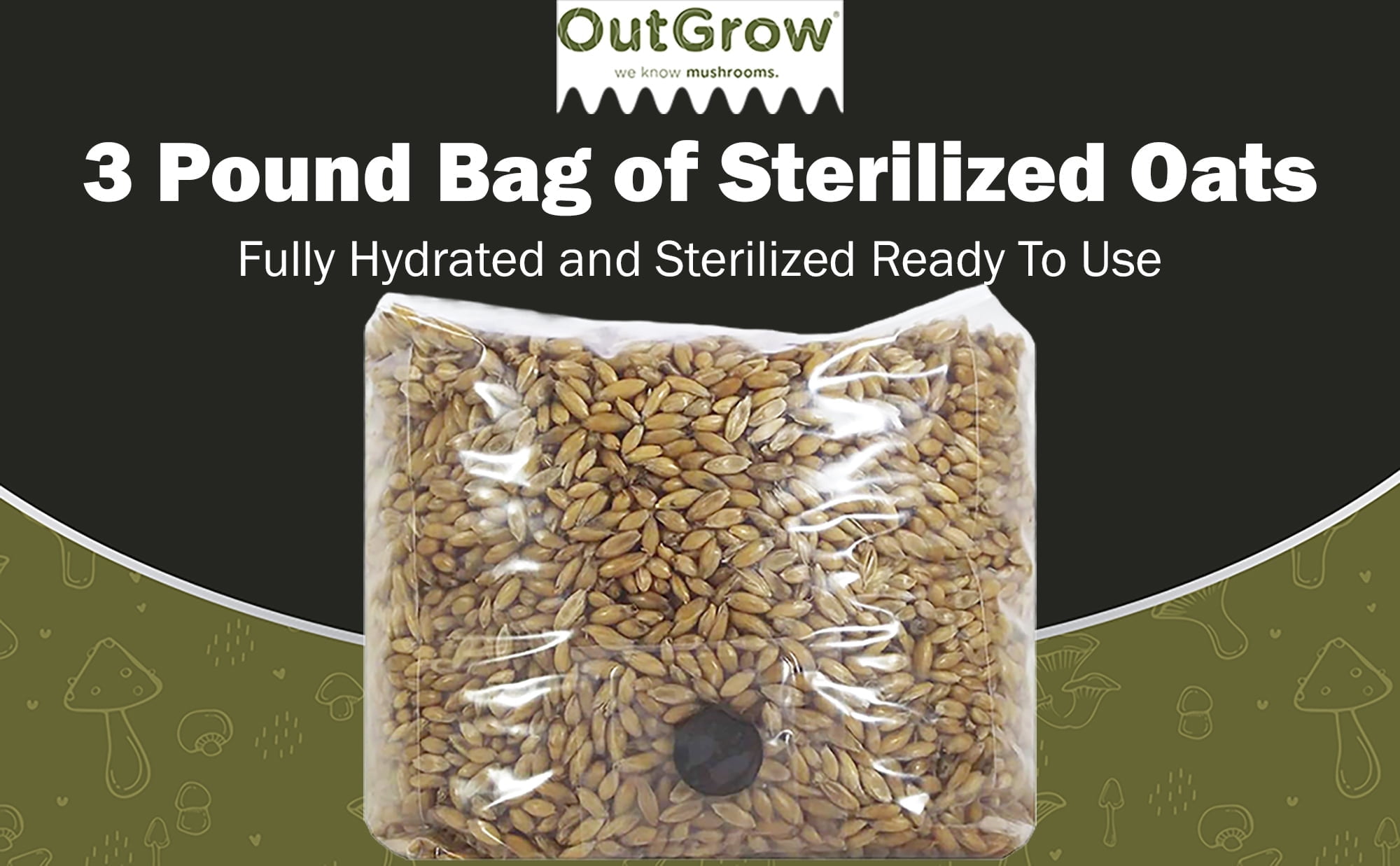 Out-Grow Grain Spawn, 3 Pounds Whole Oats Mushroom Substrate, Self ...
