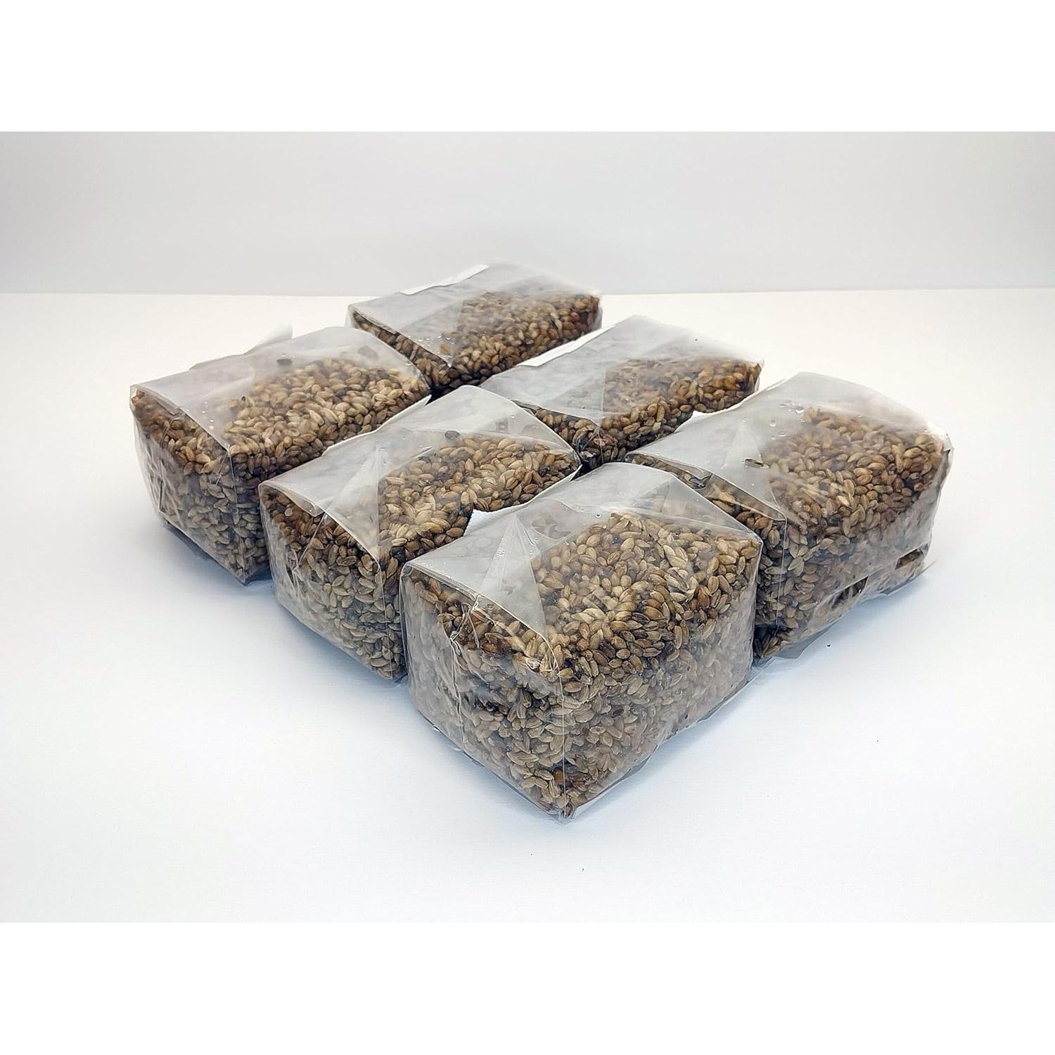 Sterilized Rye Berry Mushroom Substrate Bags for Grain Spawn (6 x 1lb ...
