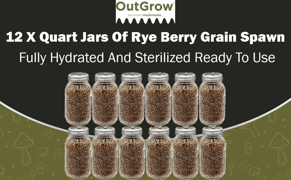 Sterilized Rye Berry Grain Spawn - 12 Pack of Quart Jars - Walmart.com