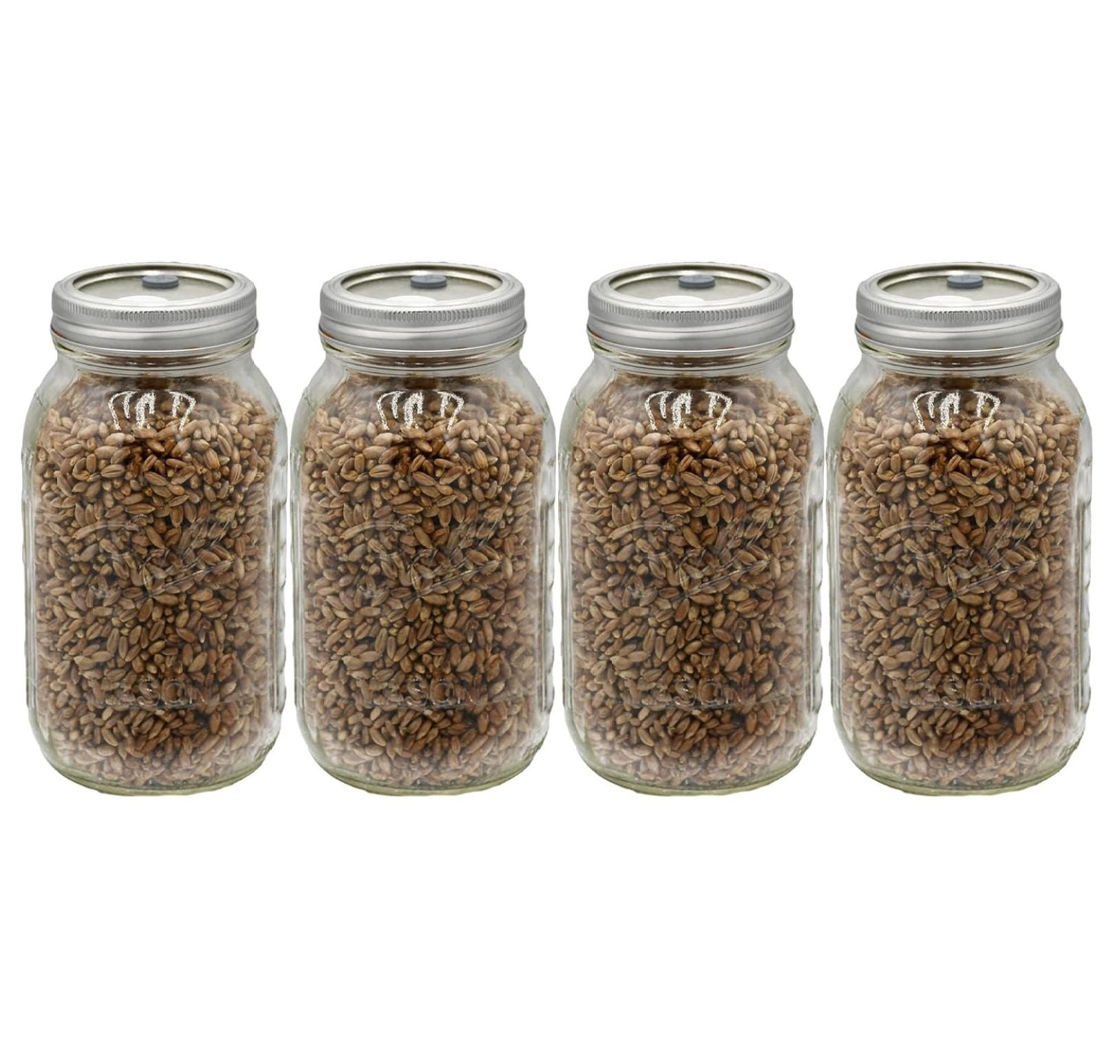 Sterilized Rye Berry Mushroom Substrate in Injectable Quart Jars ...