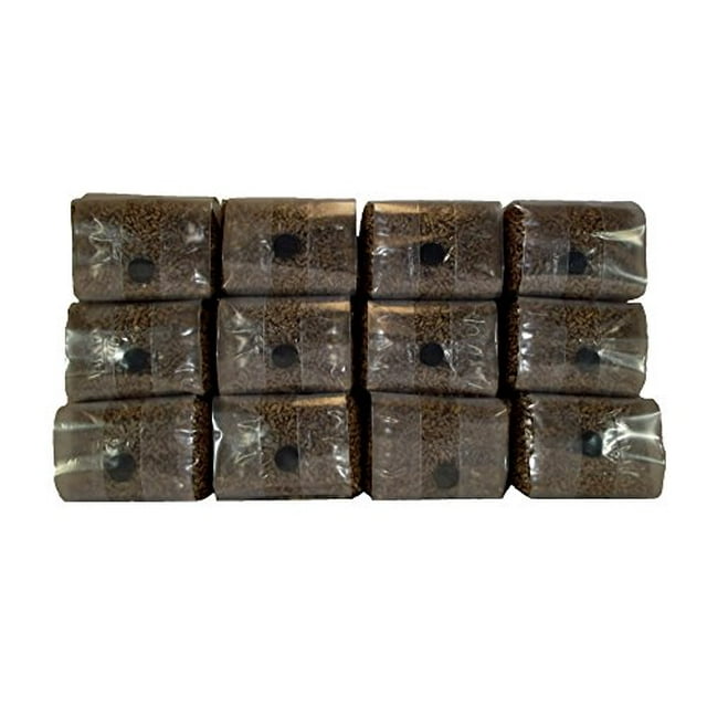 Sterilized Rye Berry Mushroom Substrate with Self Healing Injection ...