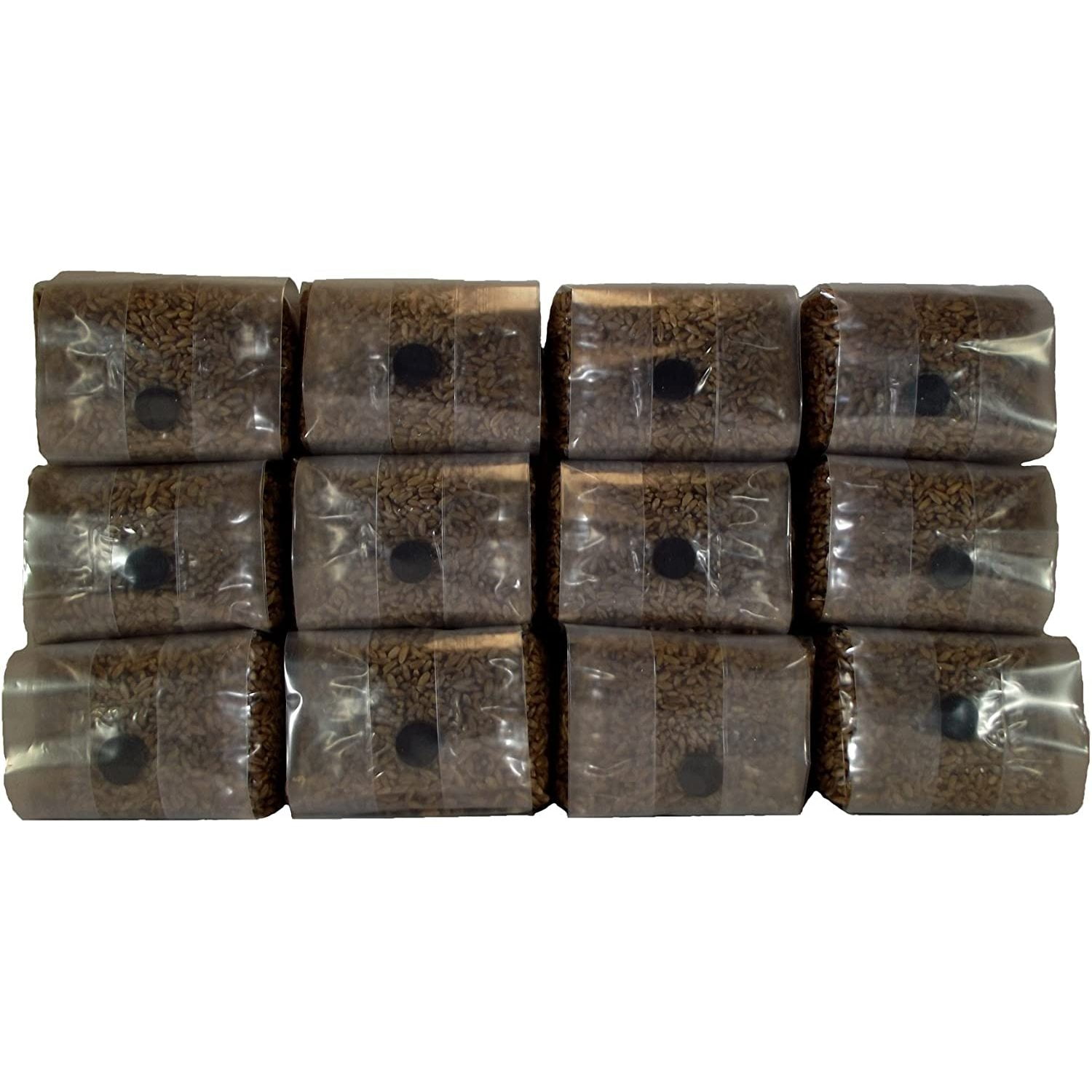 Sterilized Rye Berry Mushroom Substrate with Self Healing Injection ...