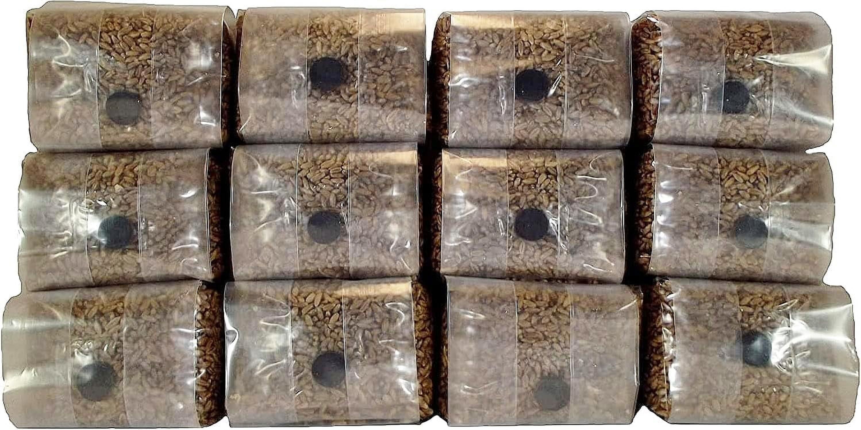 Sterilized Rye Berry Mushroom Substrate with Self Healing Injection ...