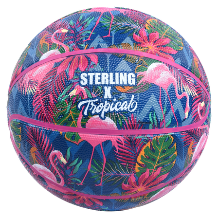Sterling Superior Grip Indoor/Outdoor Basketball, Hearts & Daisy Design ...