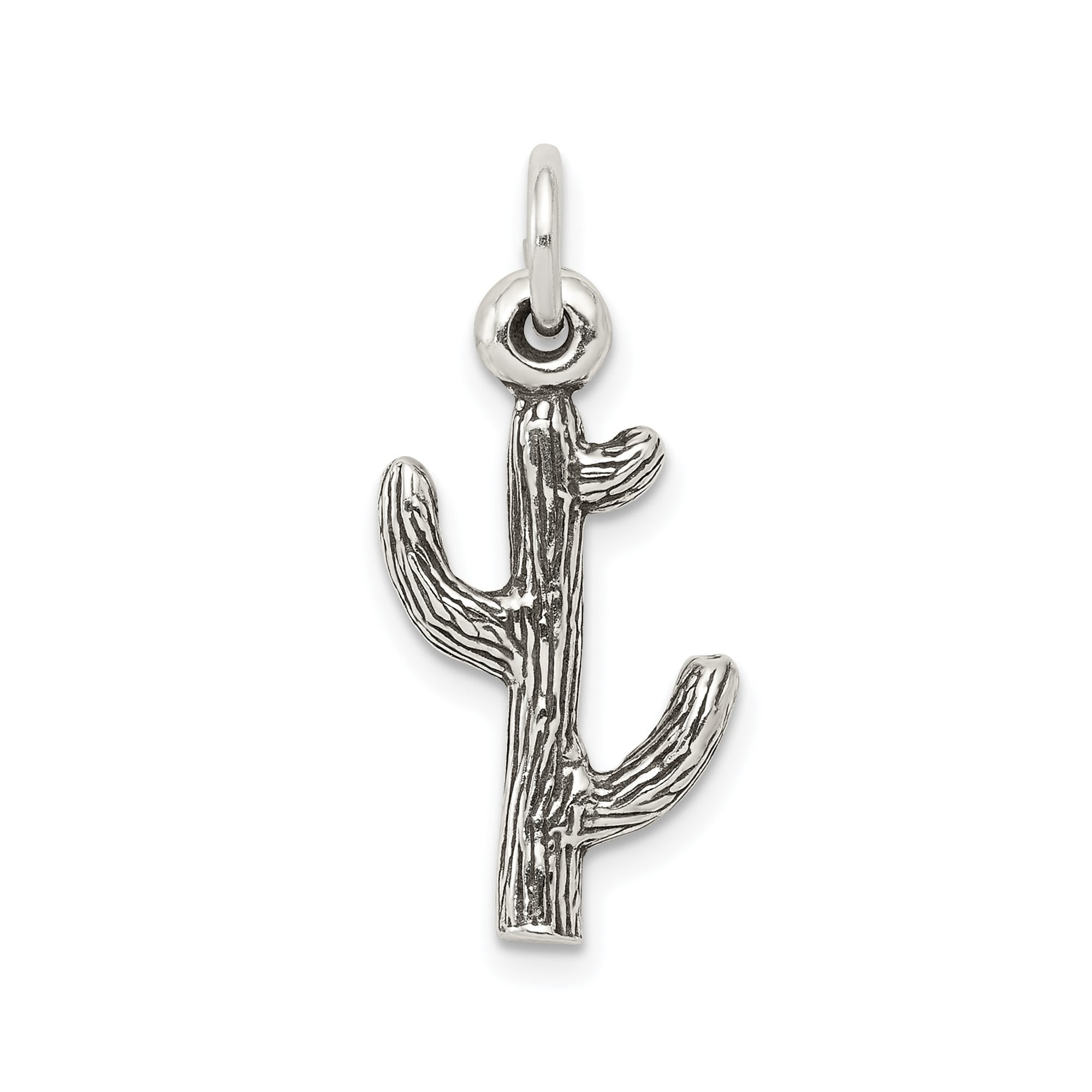 Sterling Silver Cactus Pendant Charm for Women or Unisex, Desert ...