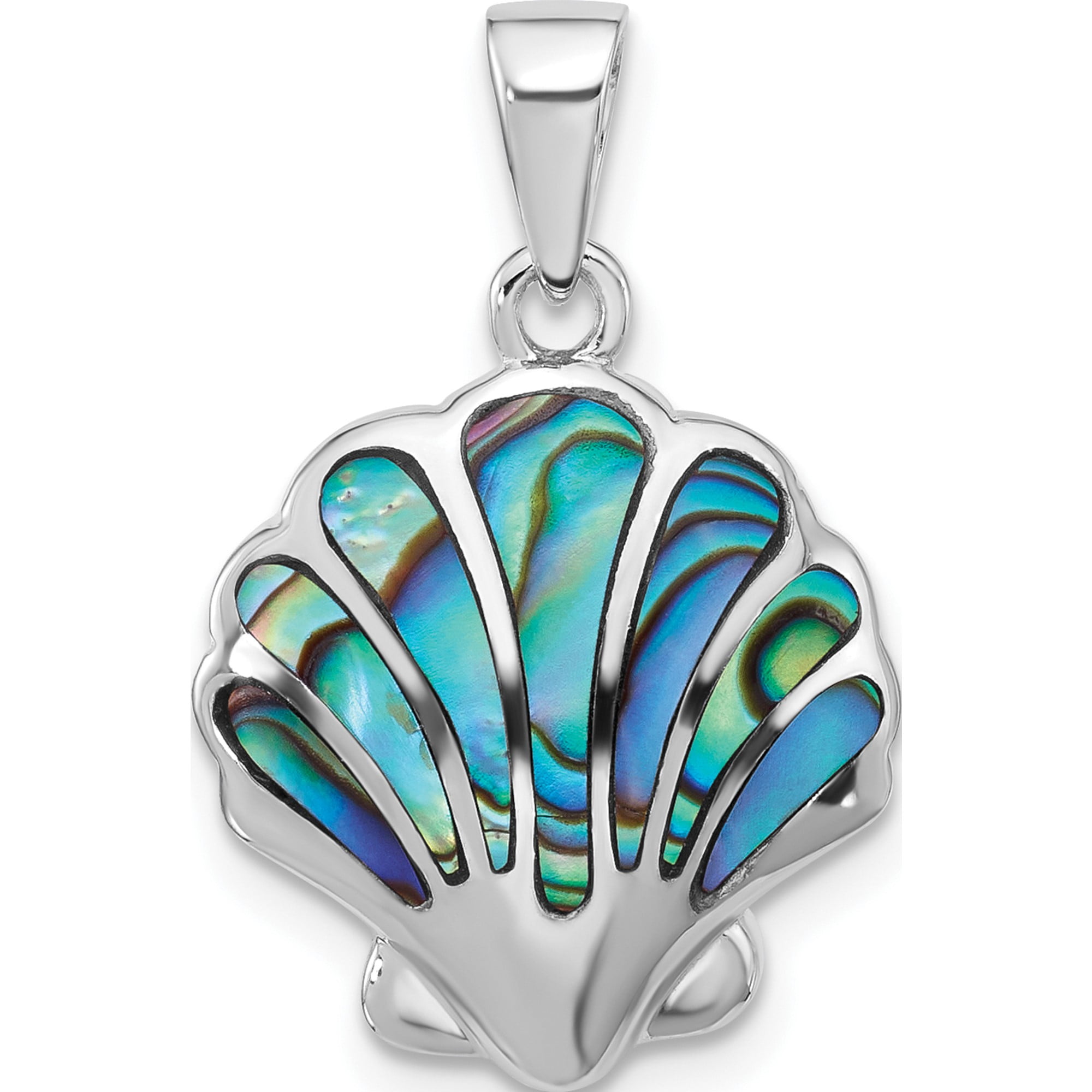 Polished Abalone Shell