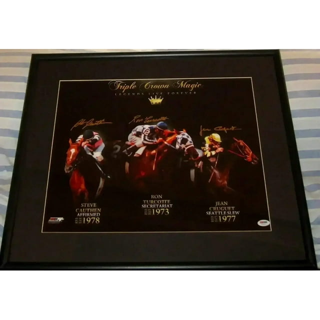 Steve Cauthen Jean Cruguet Ron Turcotte signed Triple Crown 16x20 ...