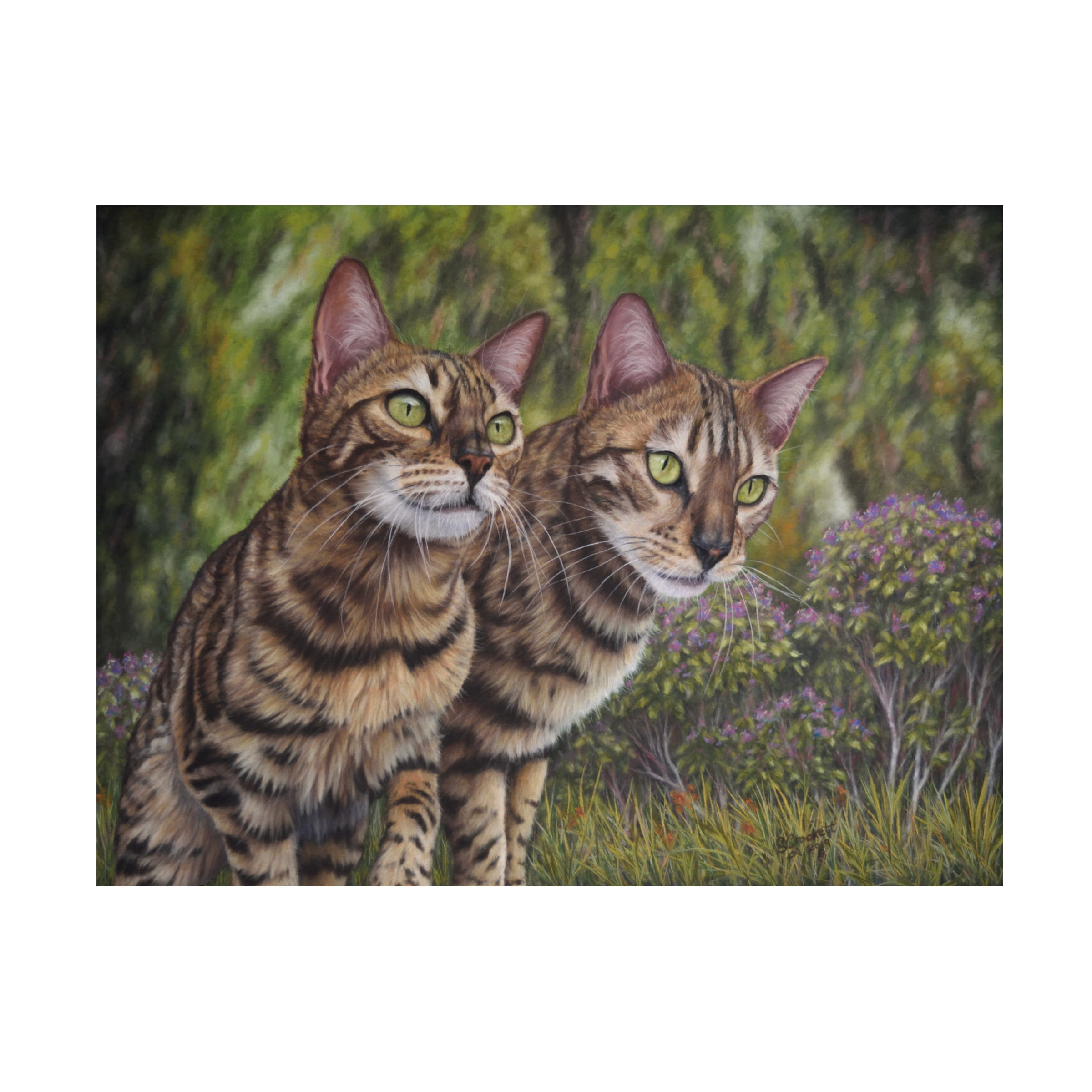 Steve Crockett Bengal Cats Canvas Art - 24x32 inches - Walmart.com