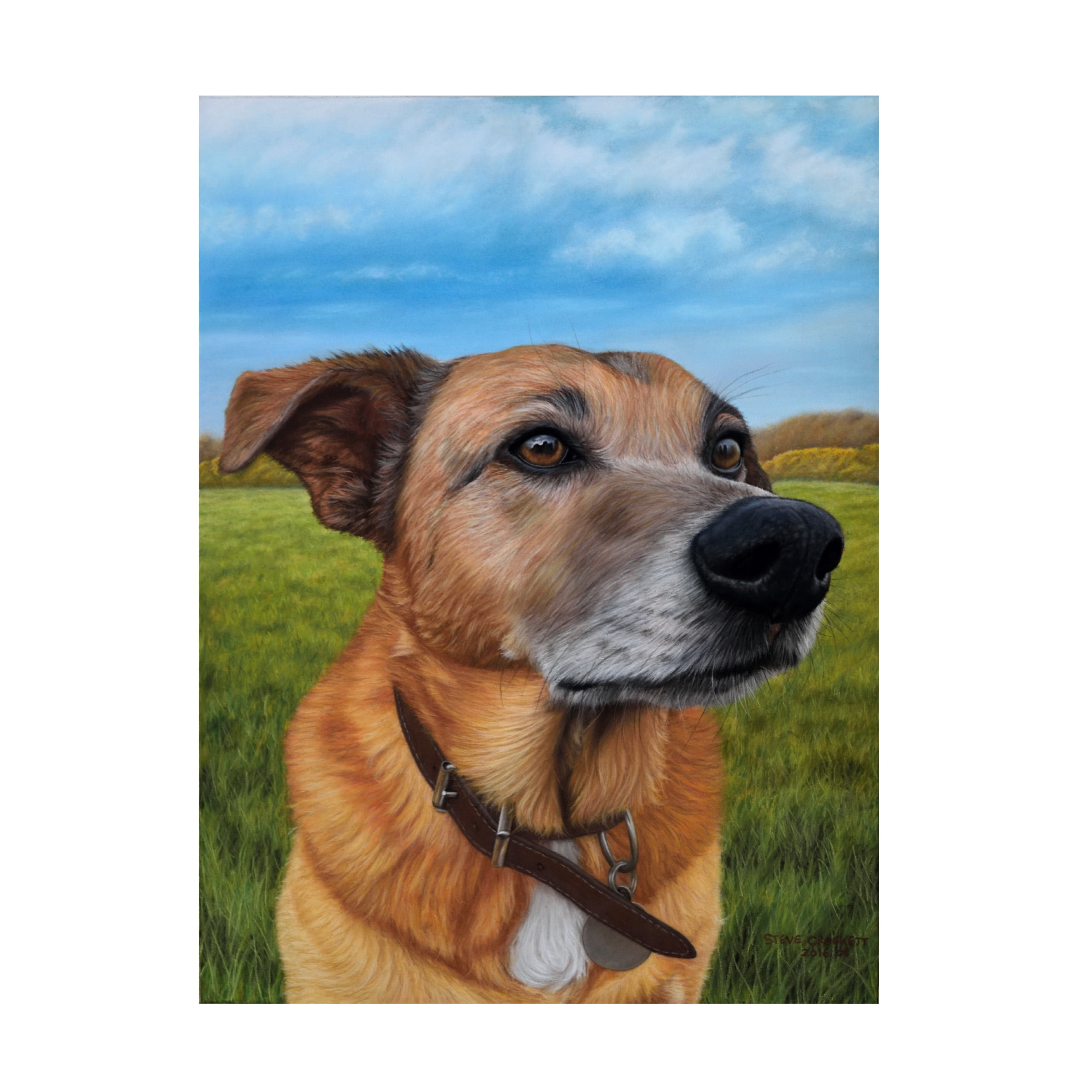 Steve Crockett 'Pet Portrait Of Bear The Dog' Canvas Art - Walmart.com