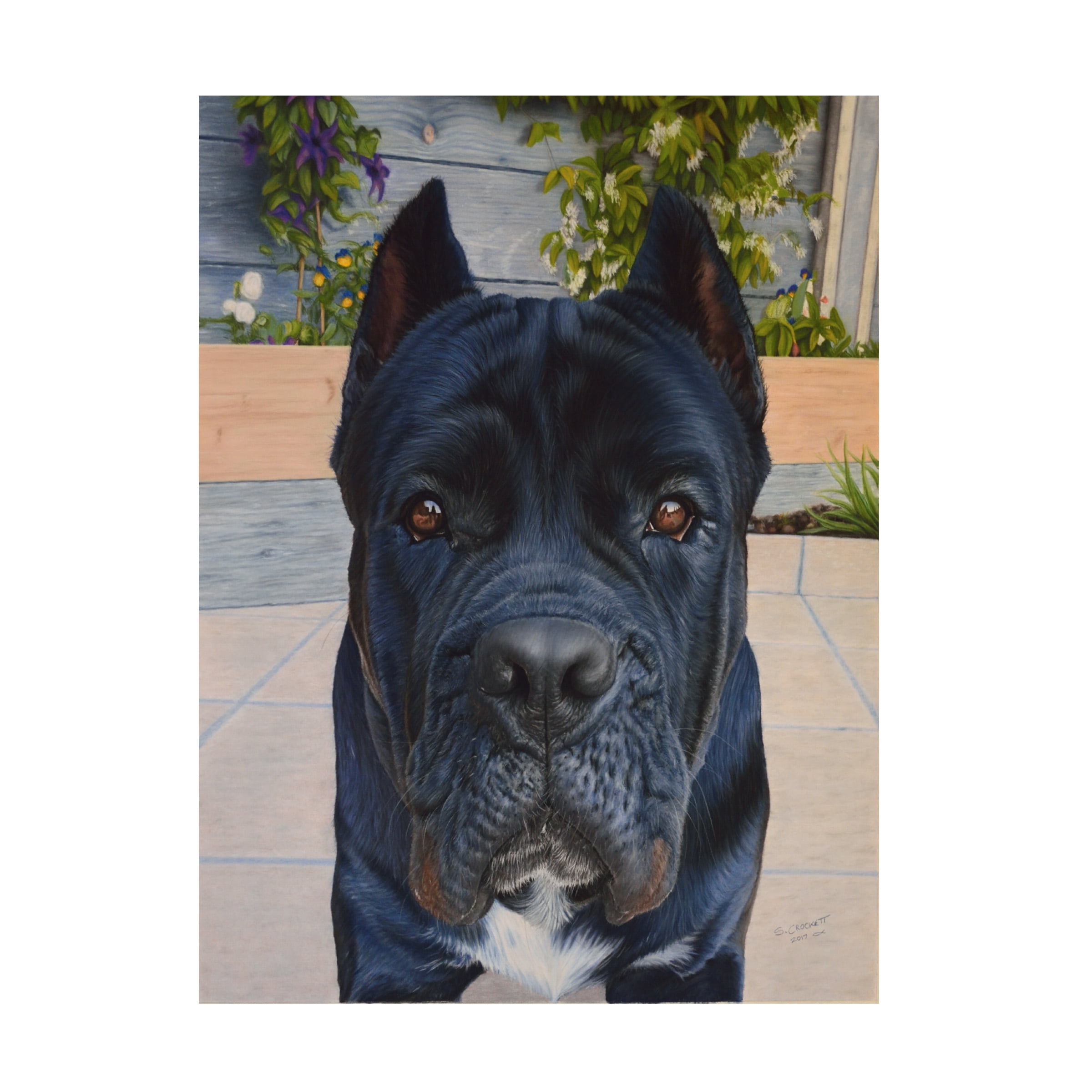 Steve Crockett 'Pet Portrait Of Genghis The Cane Corso' Canvas Art ...