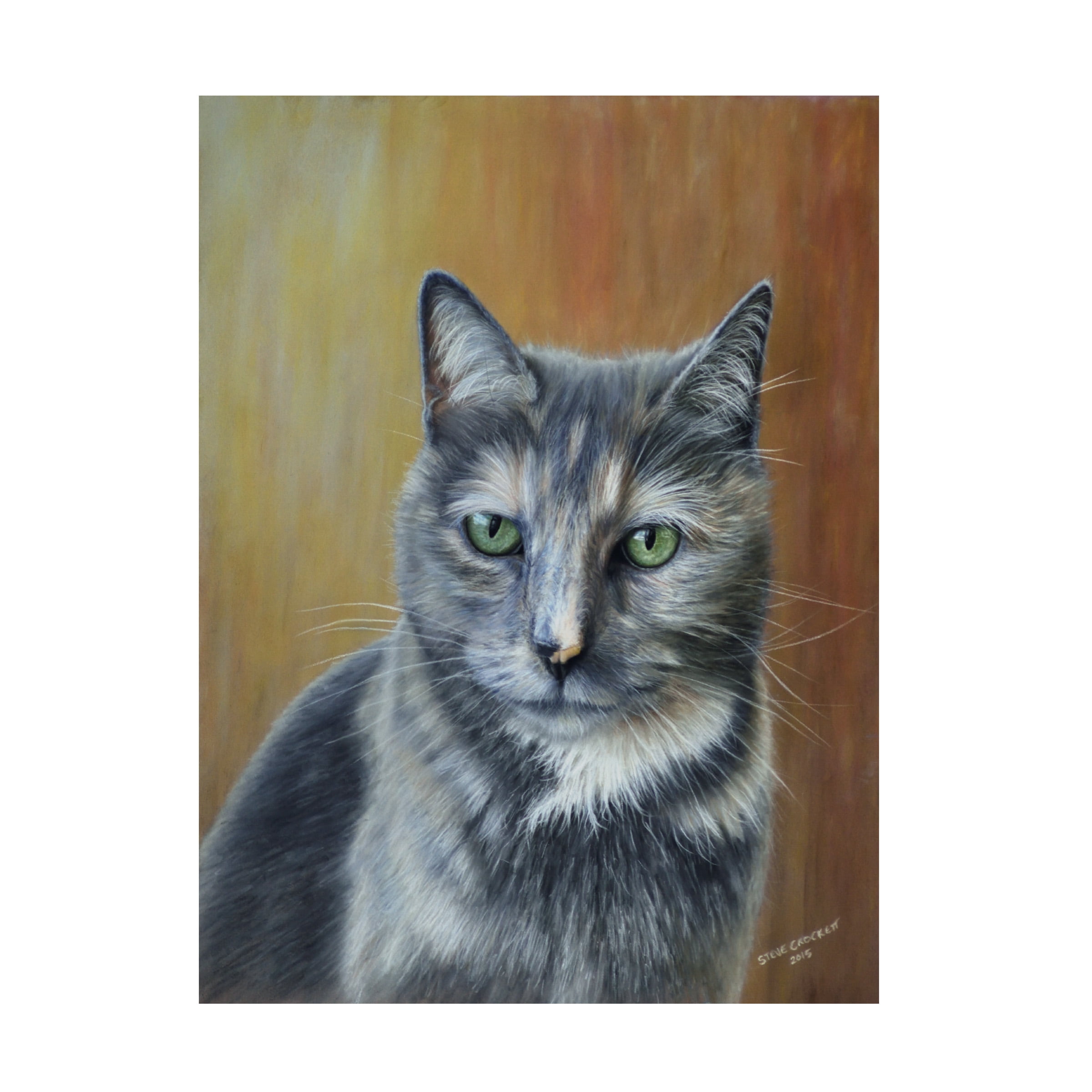 Steve Crockett 'Pet Portrait Of Pickles The Cat' Canvas Art - Walmart.com