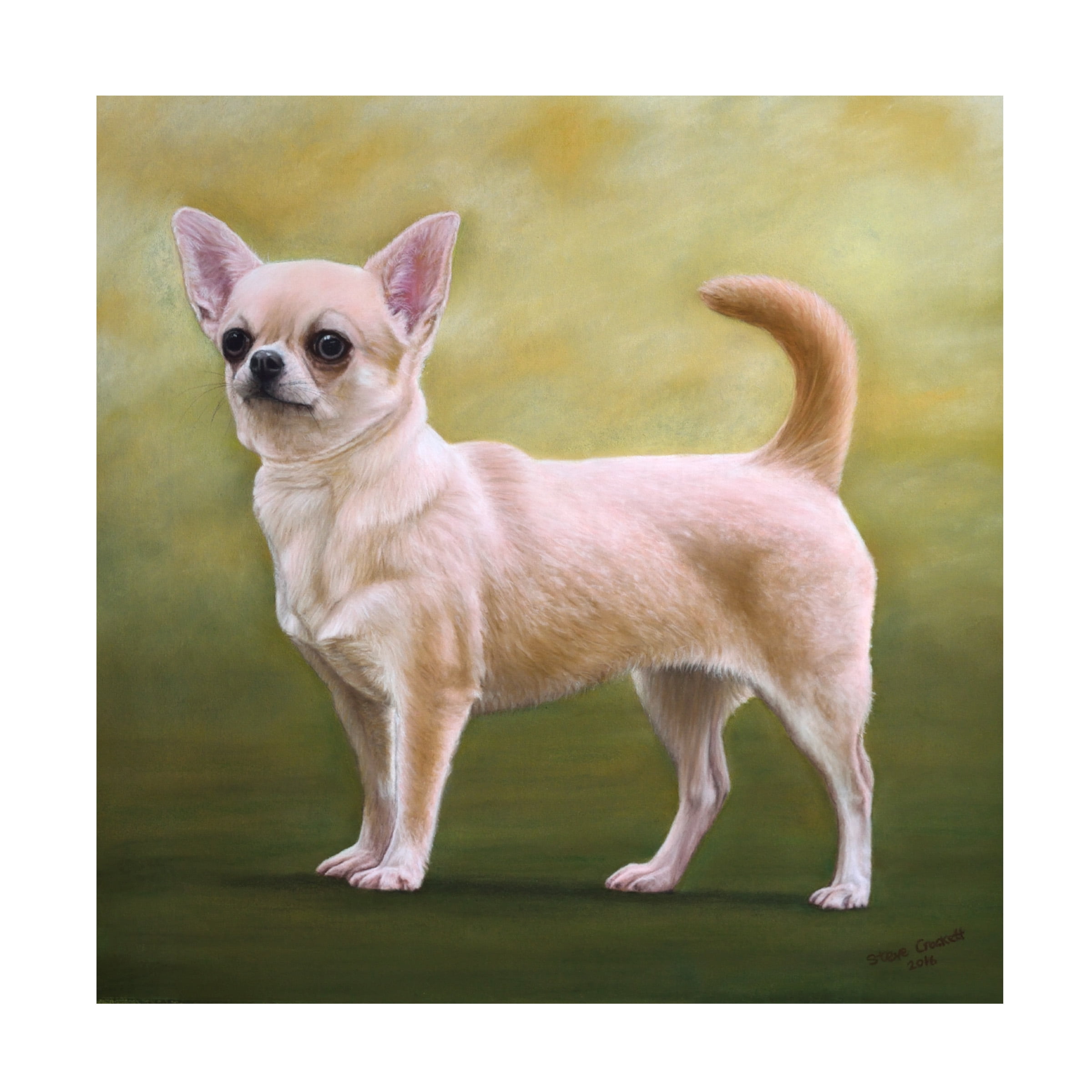 Trademark Fine Art Steve Crockett Portrait Of A Chihuahua Canvas Art Dog Print Decor - Walmart.com