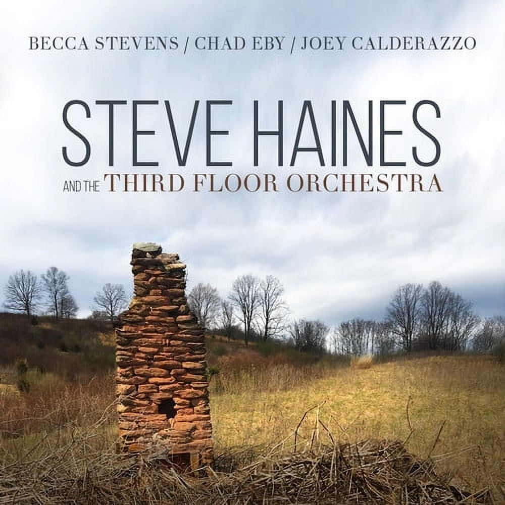 Steve Haines - Steve Haines And The Third Floor Orchestra - Music ...