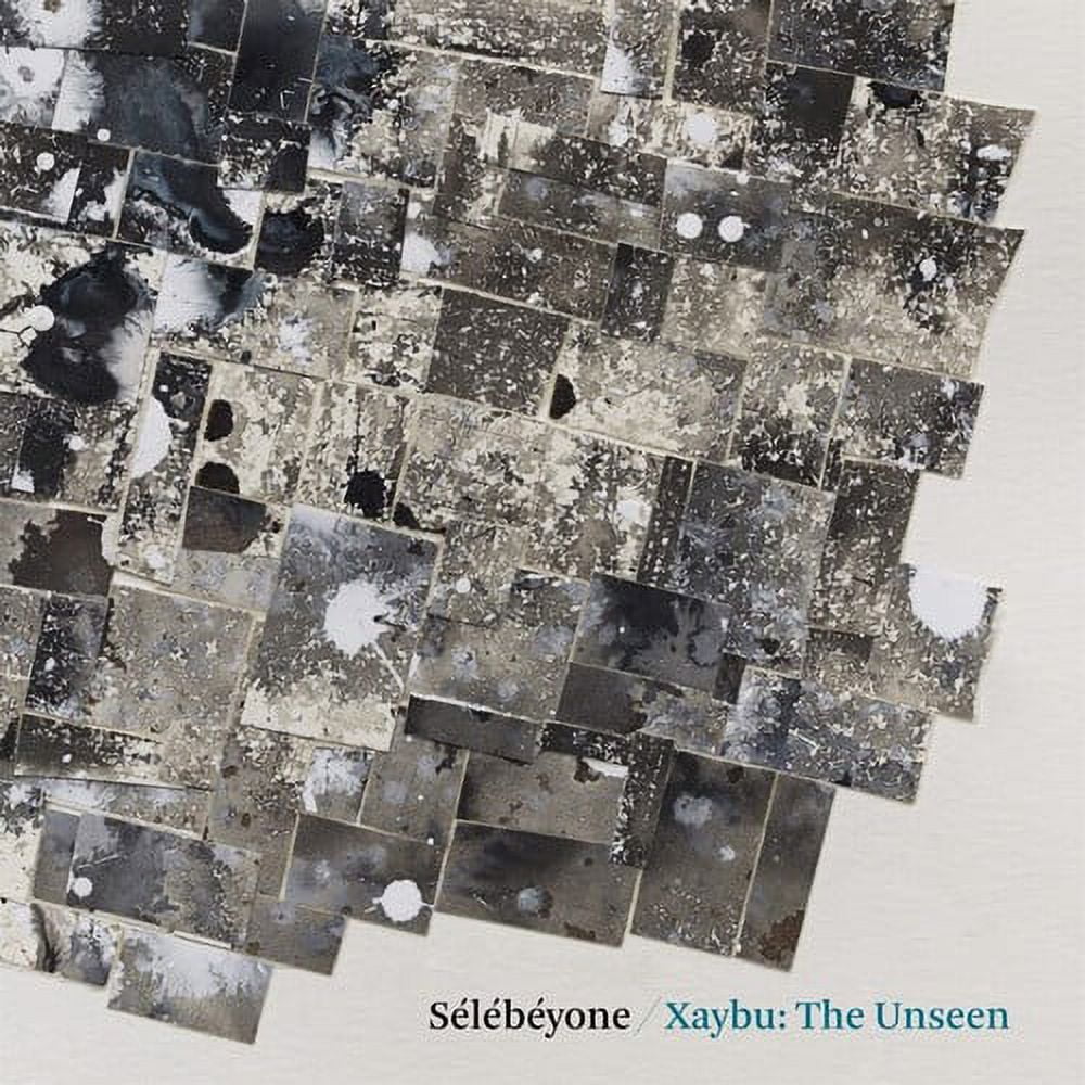 Steve Lehman - Xaybu: The Unseen - Music & Performance - Vinyl ...
