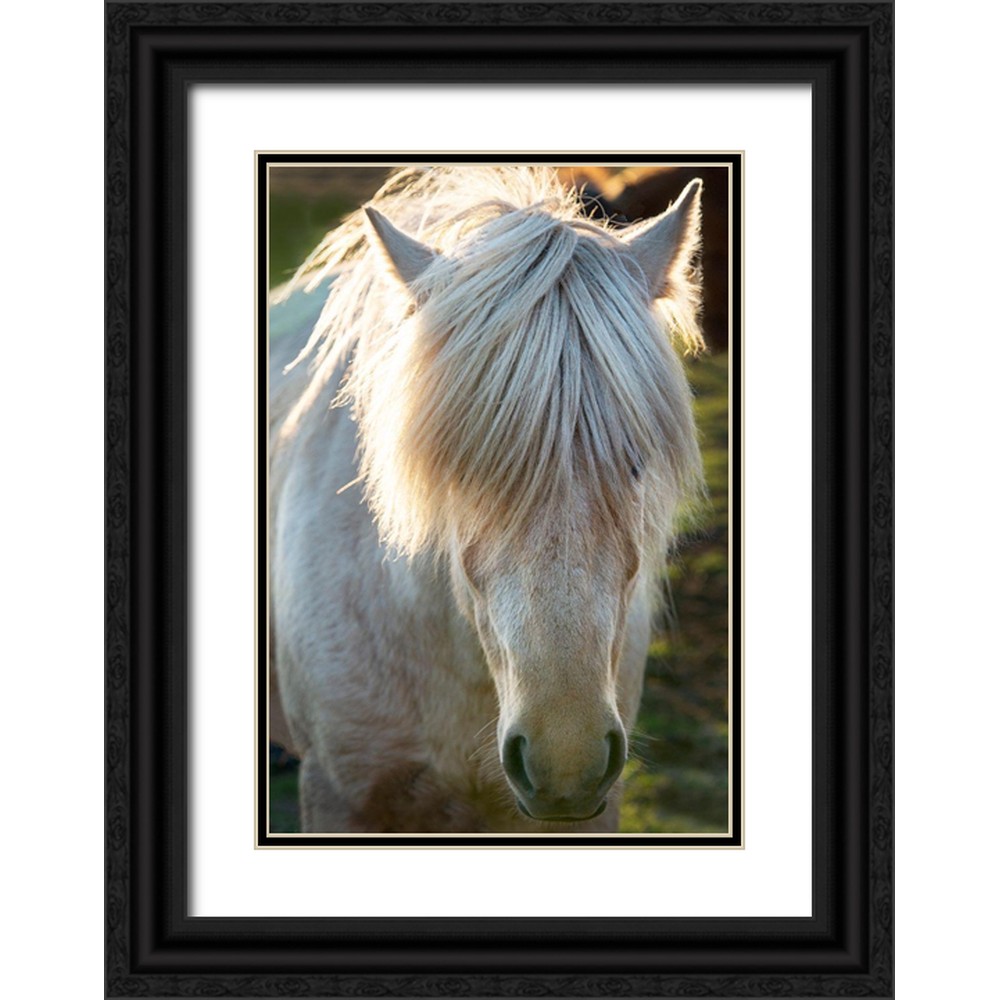 Steve Mohlenkamp 14x18 Black Ornate Wood Framed with Double Matting ...