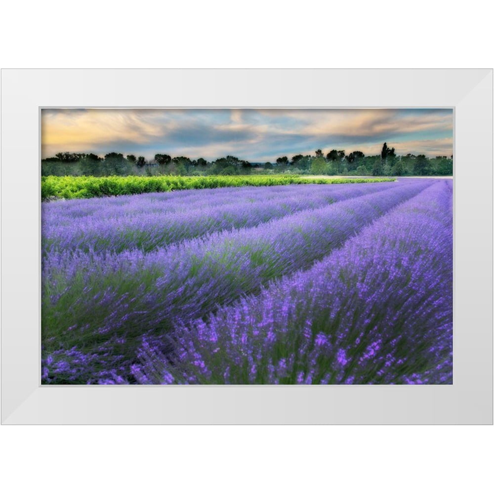 Steve Mohlenkamp 18x13 White Modern Wood Framed Museum Art Print Titled ...