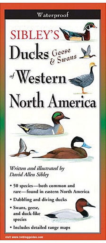Earth Sky+Water Bird Watching Guide: Sibley's Ducks, Geese, Swan by ...