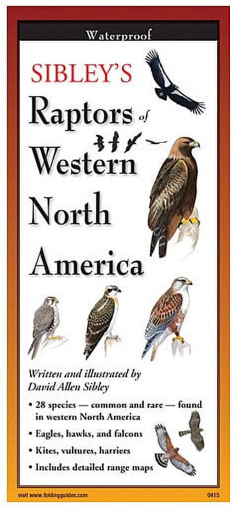 Explore the Skies: Sibley's Raptors of Western NA Bird Watching Guide ...