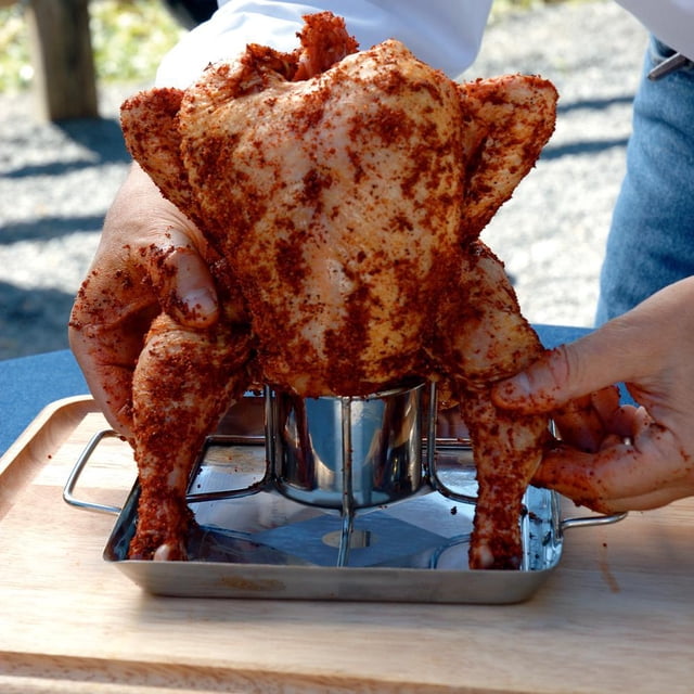 Steven Raichlen Stainless Steel Vertical Beer Can Chicken Roasting ...