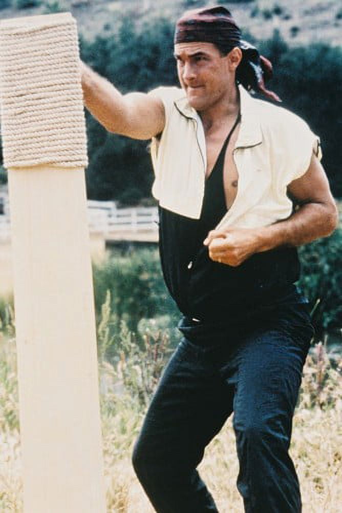 Steven Seagal 24X36 Poster in Kung Fu action pose - Walmart.com