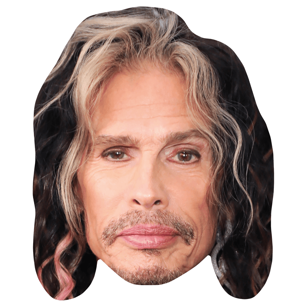 Steven Tyler (Goatee) Big Head. - Walmart.com