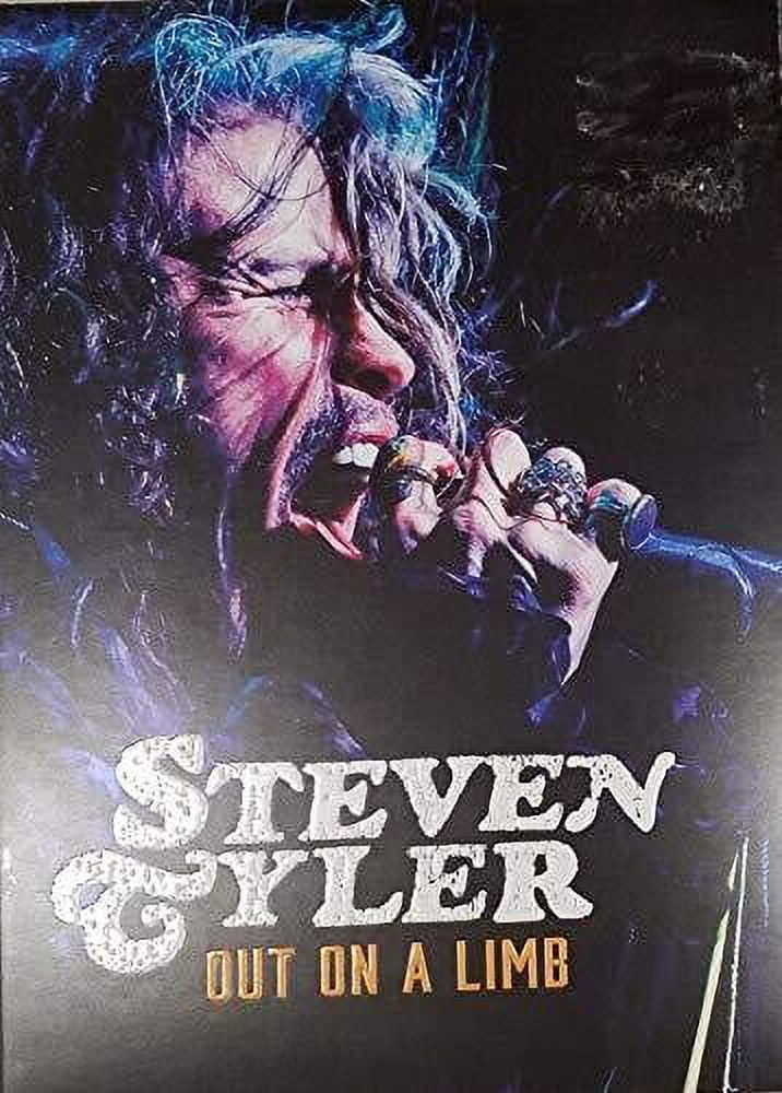 Steven Tyler: Out On A Limb (DVD), Momentum, Documentary - Walmart.com
