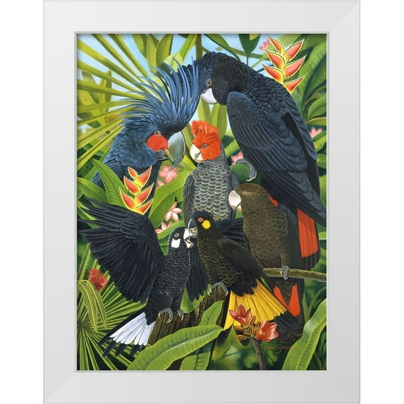 Stevenson, Graeme 11x14 White Modern Wood Framed Museum Art Print Titled - Back In Black ...