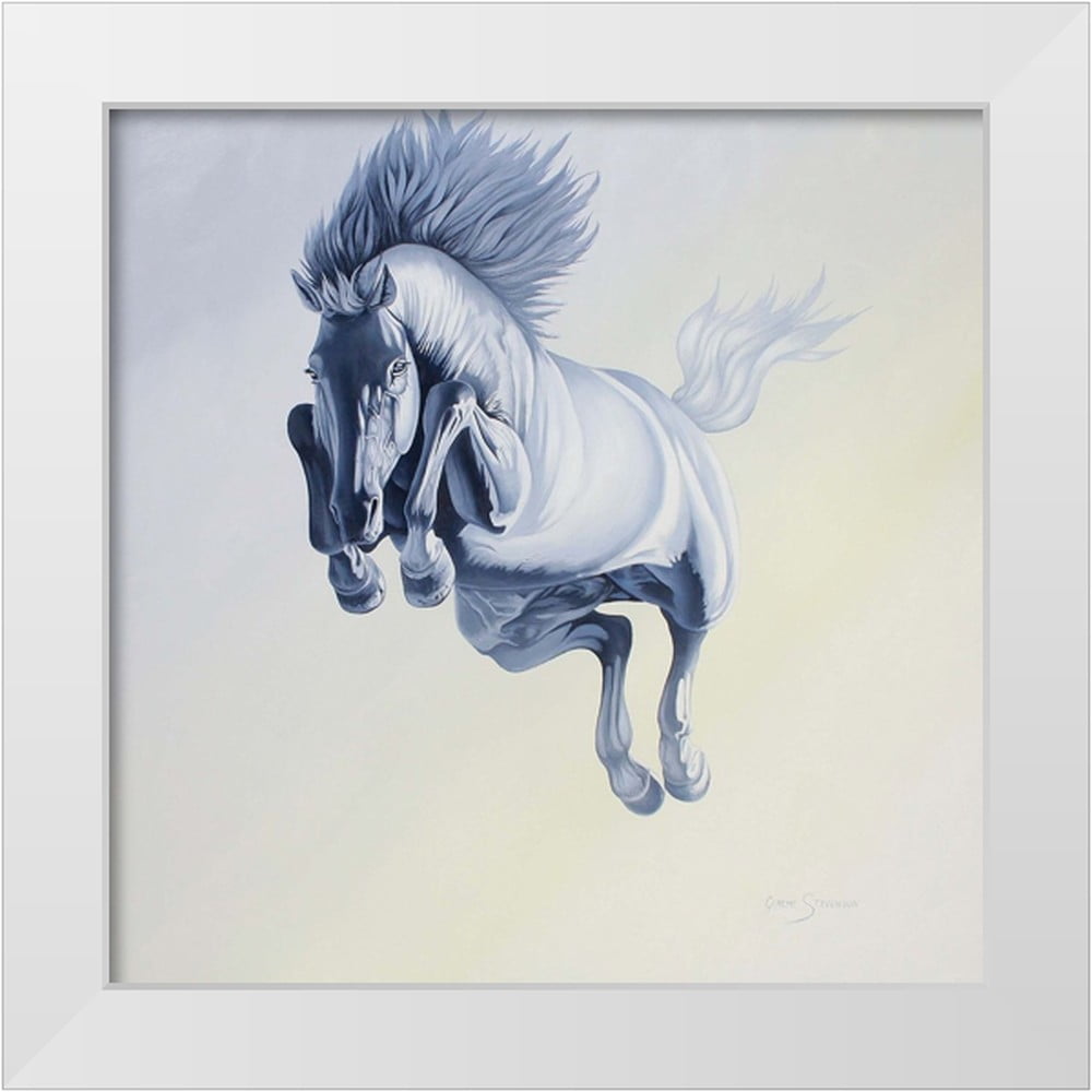 Stevenson, Graeme 12x12 White Modern Wood Framed Museum Art Print ...