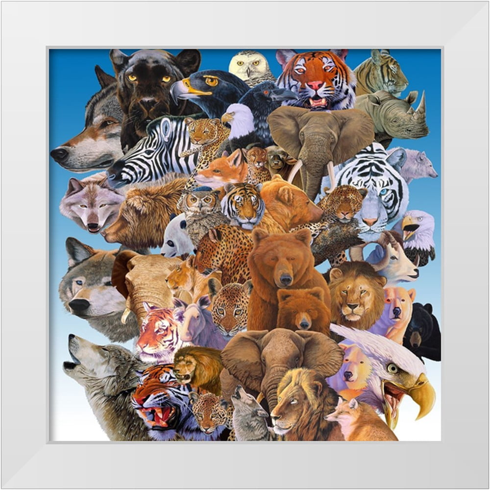 Stevenson, Graeme 12x12 White Modern Wood Framed Museum Art Print ...