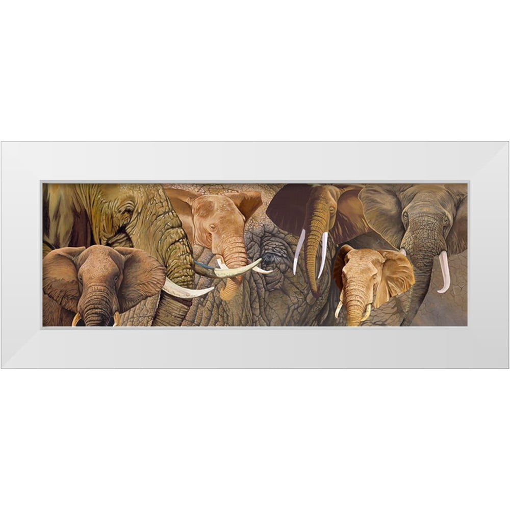 Stevenson, Graeme 24x11 White Modern Wood Framed Museum Art Print ...