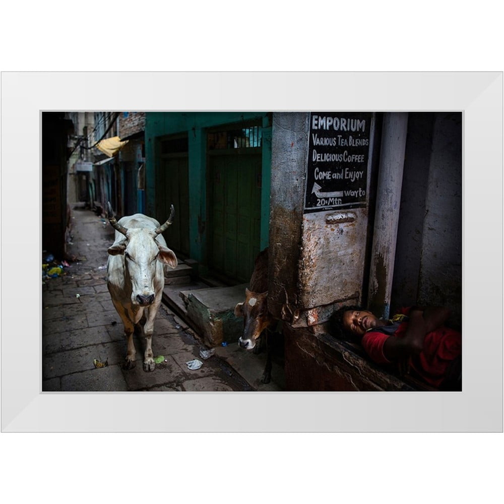 Steverson, Michael 18x13 White Modern Wood Framed Museum Art Print ...