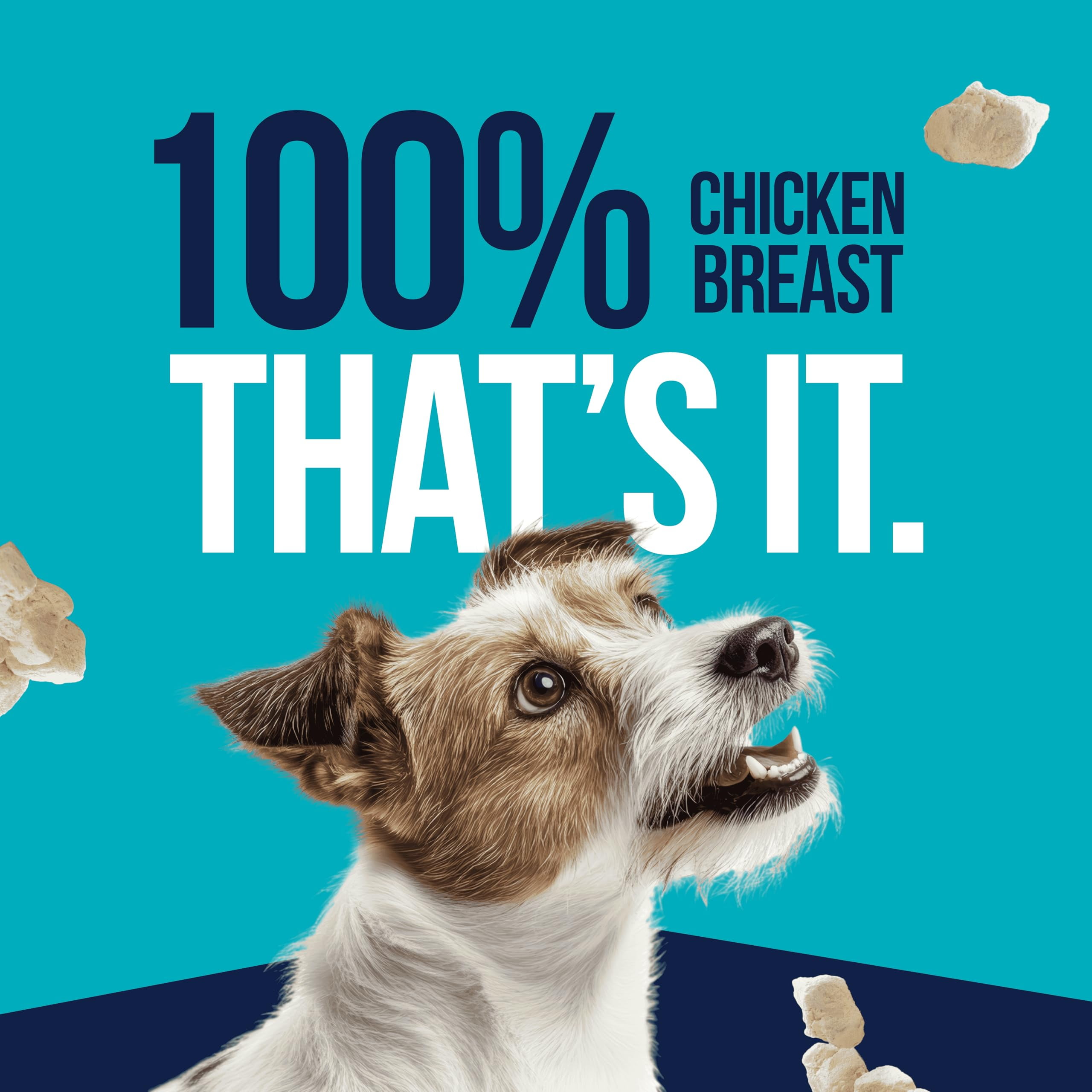 Stewart Single Ingredient Freeze Dried Raw Dog H2FSDTreats, Chicken ...