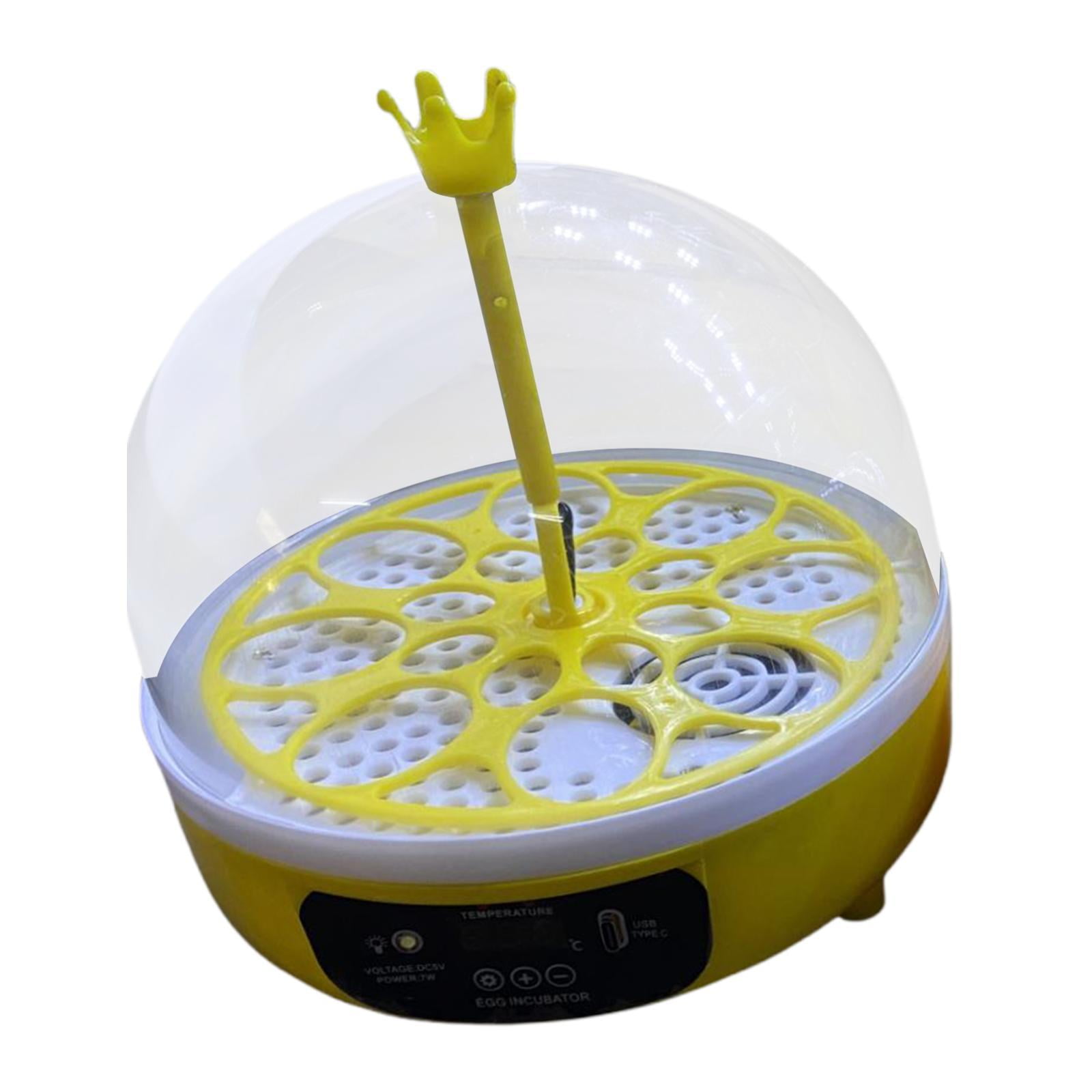 Stgfyxgs 8 Egg 8 Egg Capacity Hatcher Machine Egg Candler Hatching ...
