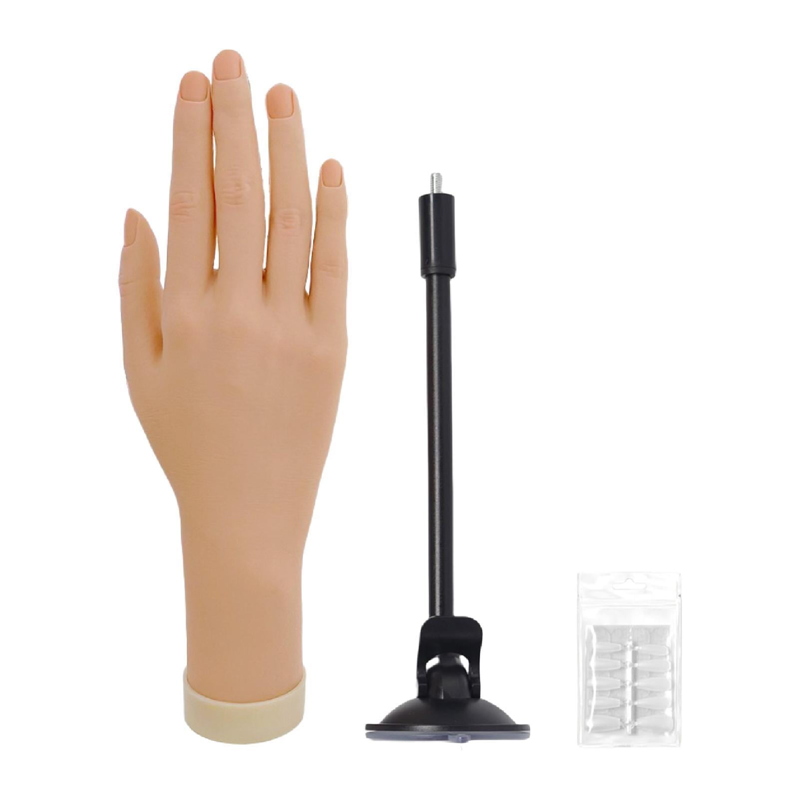 Stgfyxgs Nail Practice Hand Nail Training Model with Suction Cup Base ...