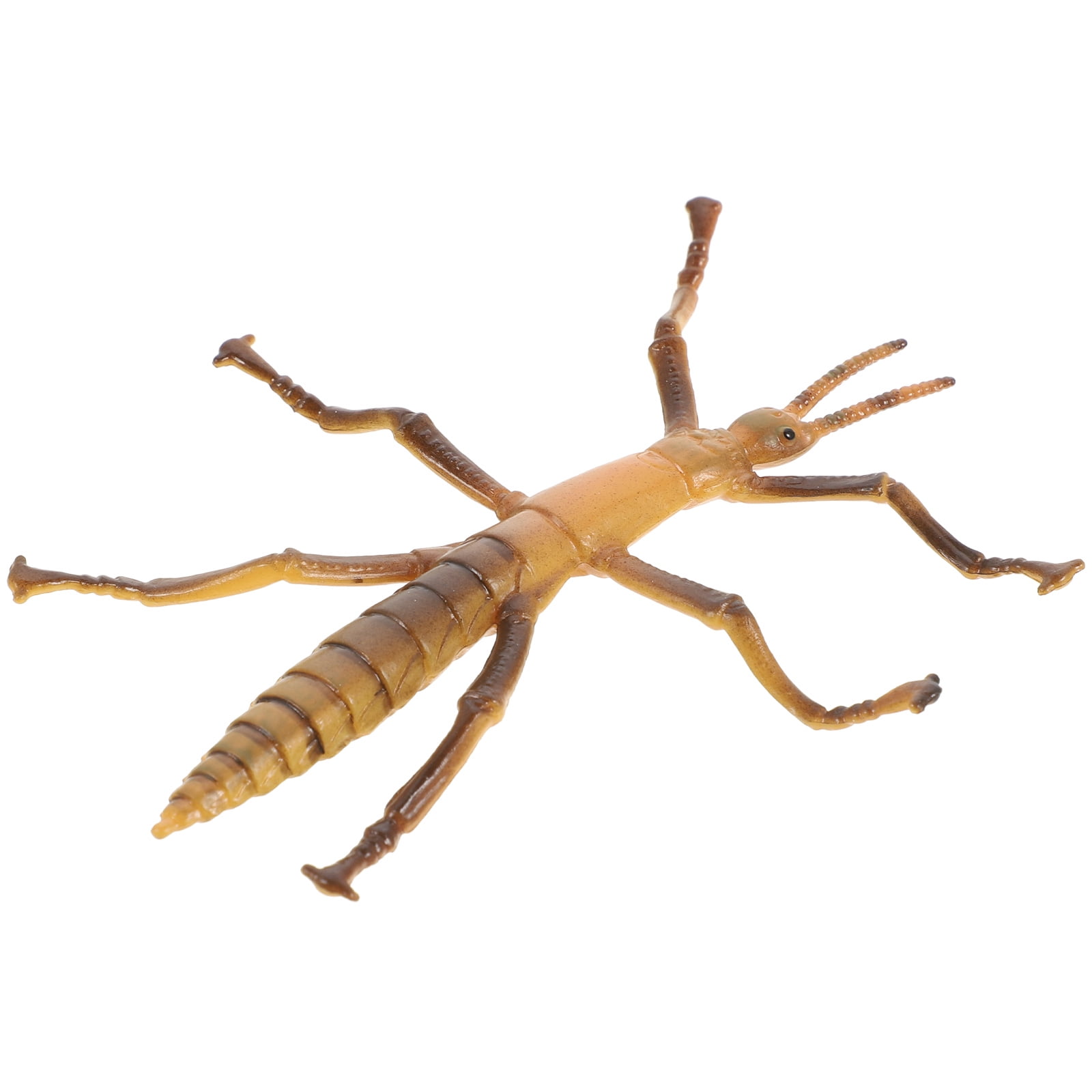 Stick Insect Model Insects and Bugs for Kids Plastic Toy Toys Faux ...