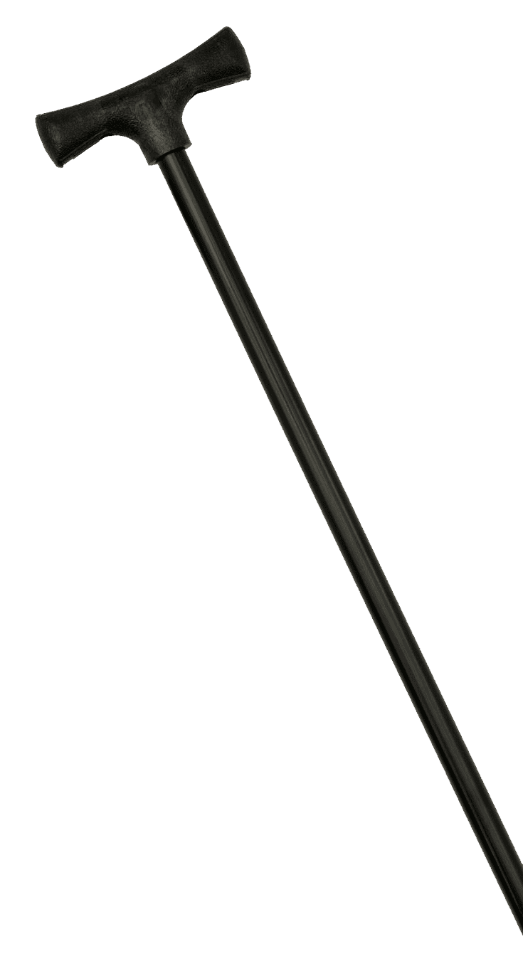 Stick It Anchor Pin for shallow water- 7' Black Anchor Pin Only ...