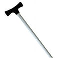 Stick It Anchor Pin for shallow water- 7' White Anchor Pin Only ...